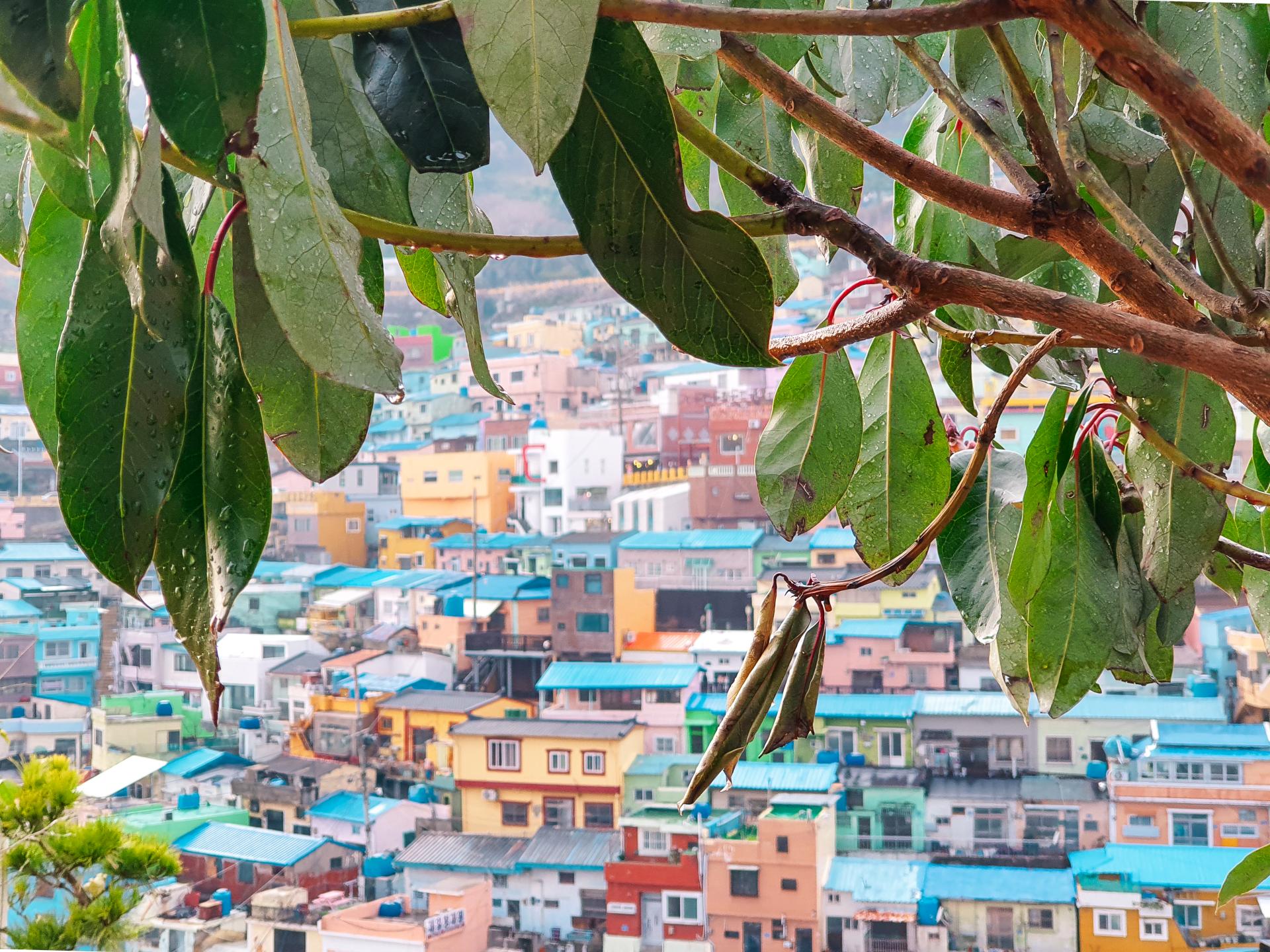 48 Hours in Busan: 8 Things you can´t afford to miss