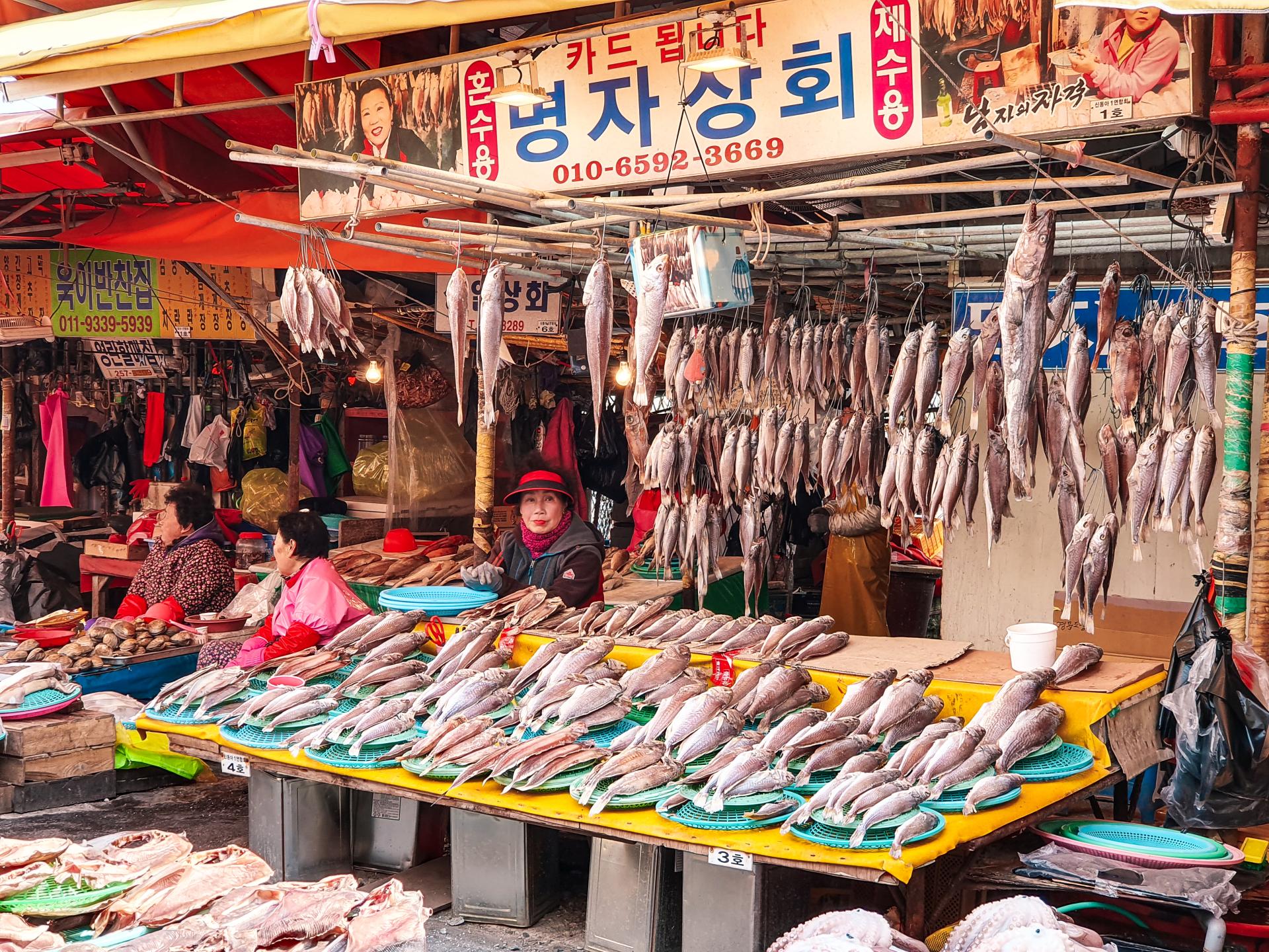 48 Hours in Busan: 8 Things you can´t afford to miss