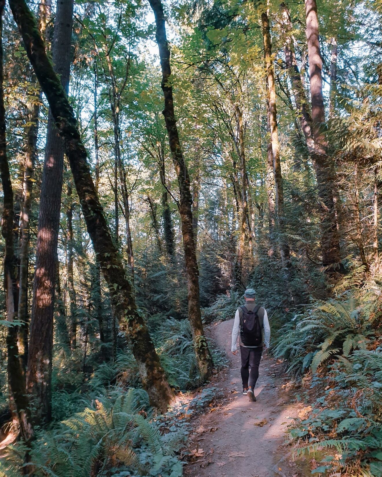 4T Trail: Explore Portland sustainably by train, trail, tram & trolley
