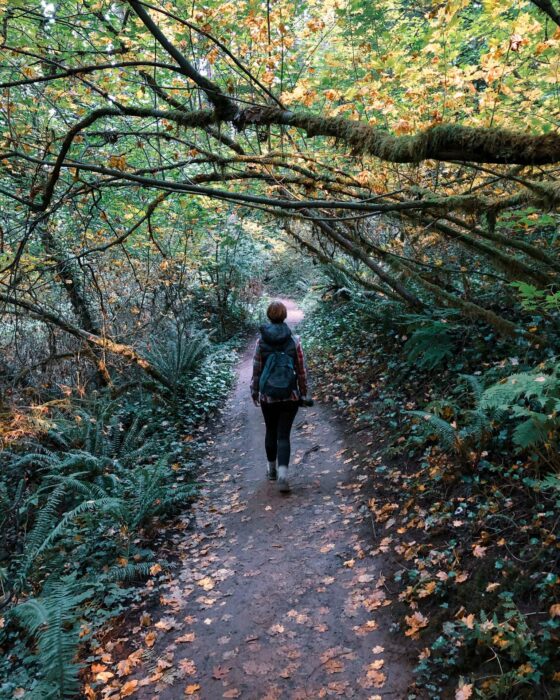 4T Trail: Explore Portland sustainably by train, trail, tram & trolley