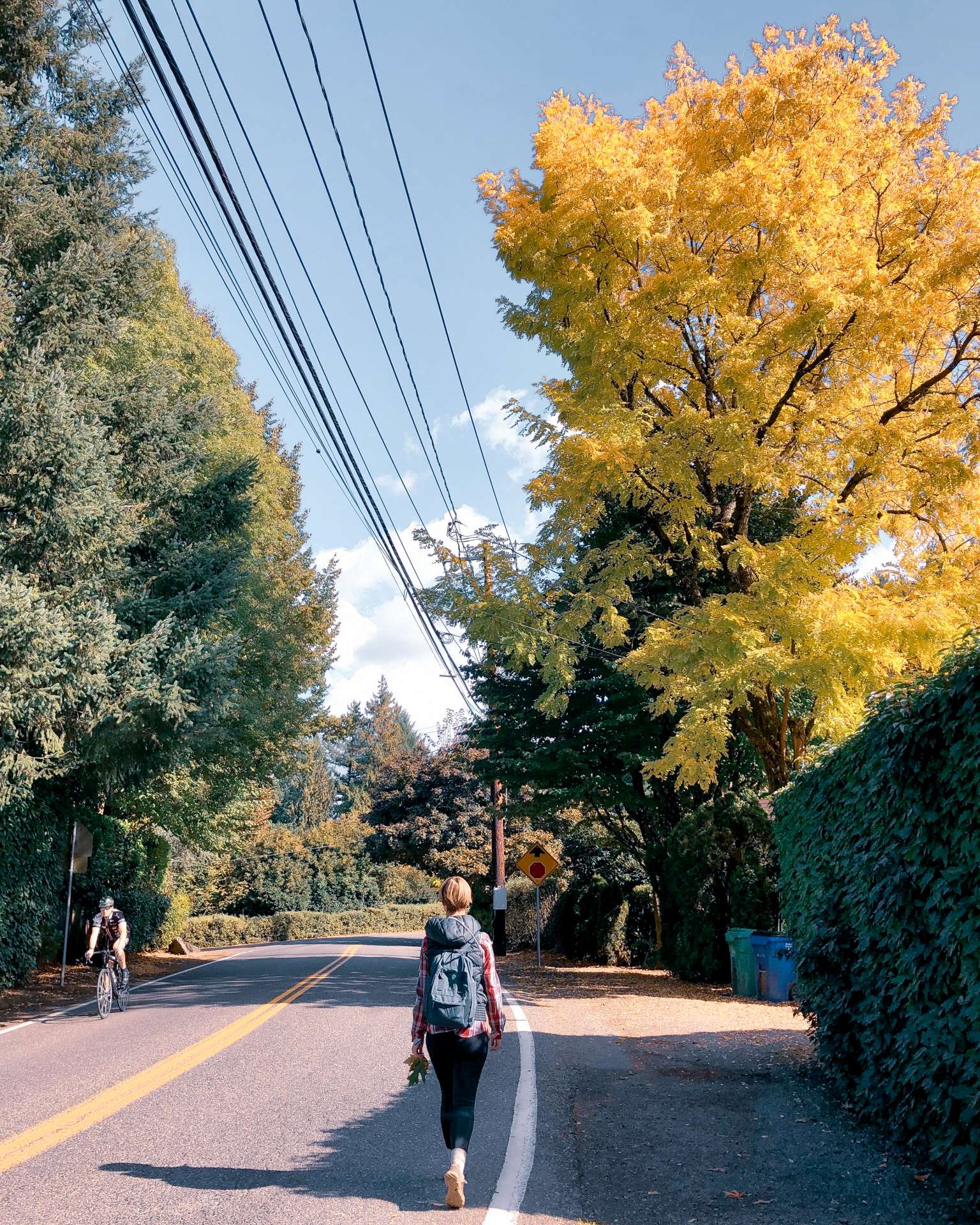 4T Trail: Explore Portland sustainably by train, trail, tram & trolley