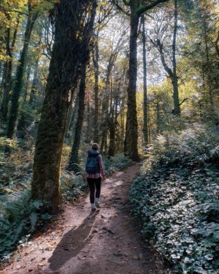 4T Trail: Explore Portland sustainably by train, trail, tram & trolley