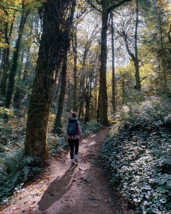 4T Trail: Explore Portland sustainably by train, trail, tram & trolley