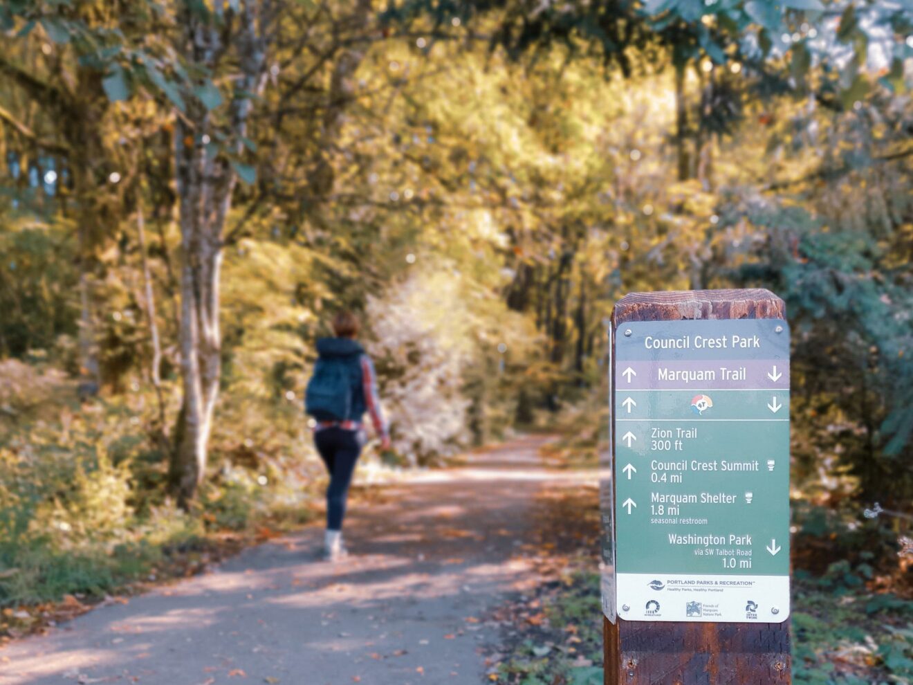 18 spots to enjoy epic fall colors in Portland, Oregon