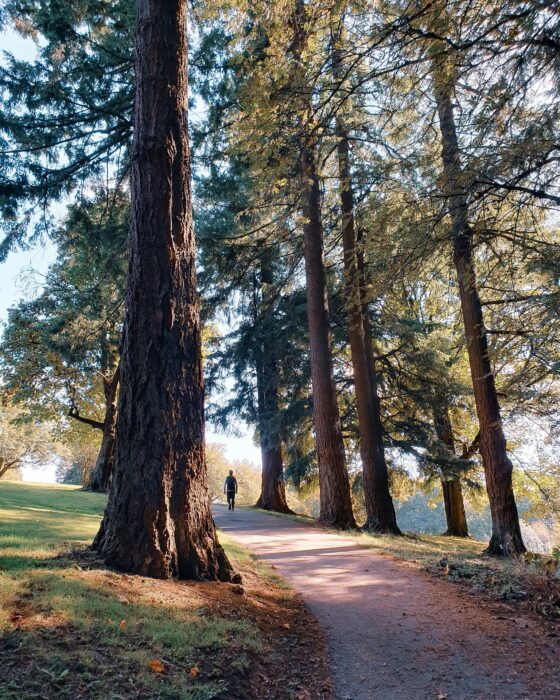 4T Trail: Explore Portland sustainably by train, trail, tram & trolley