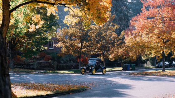 Portland October activities: pumpkin patch, fall foliage & Halloween