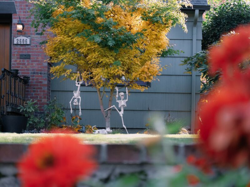 Portland October activities: pumpkin patch, fall foliage & Halloween