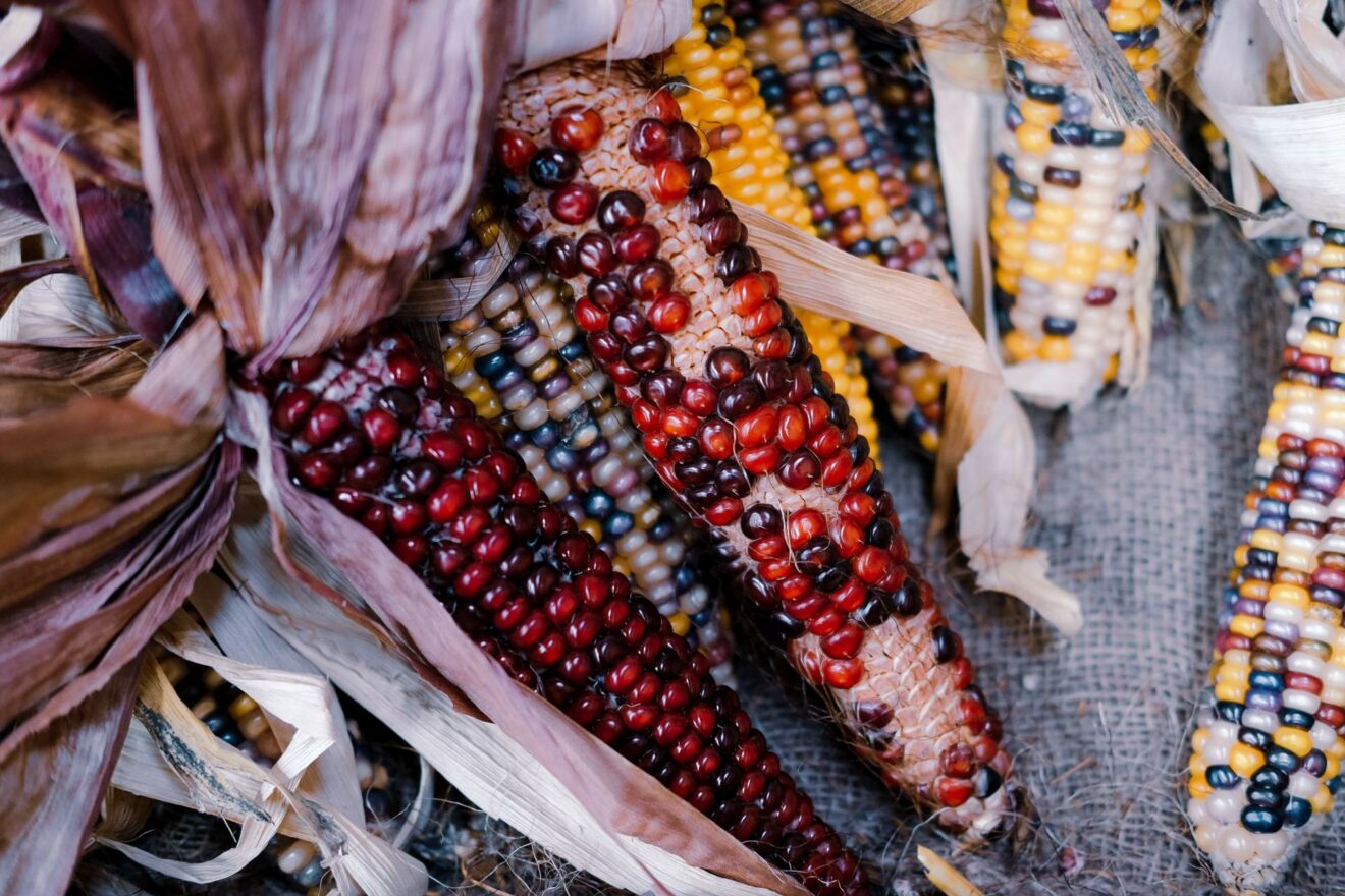 Portland October activities: pumpkin patch, fall foliage & Halloween