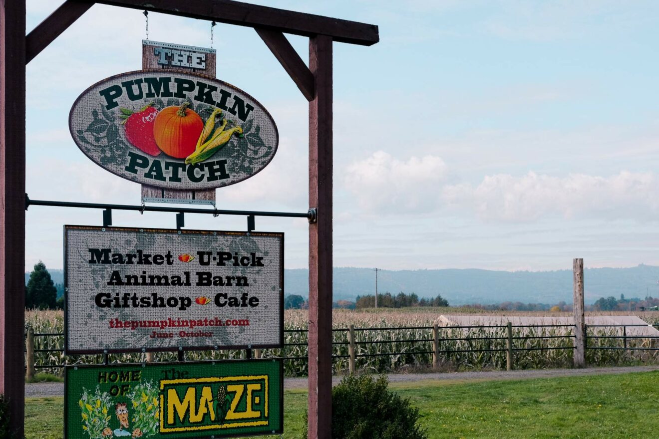 Portland October activities: pumpkin patch, fall foliage & Halloween