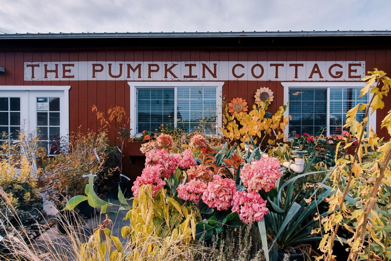 Portland October activities: pumpkin patch, fall foliage & Halloween
