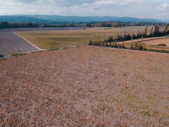 Portland October activities: pumpkin patch, fall foliage & Halloween