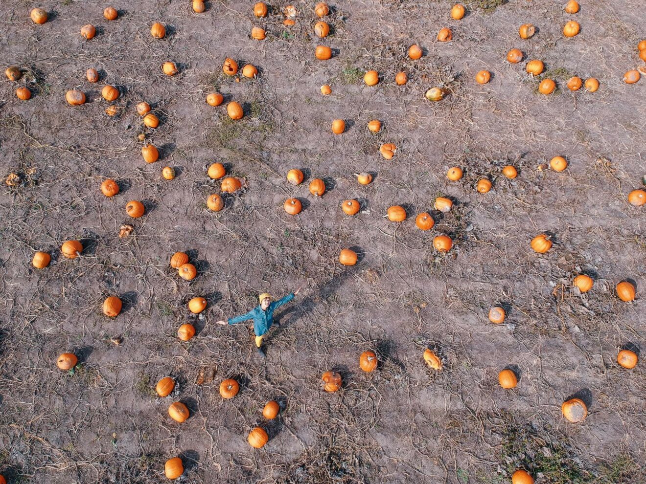 Portland October activities: pumpkin patch, fall foliage & Halloween