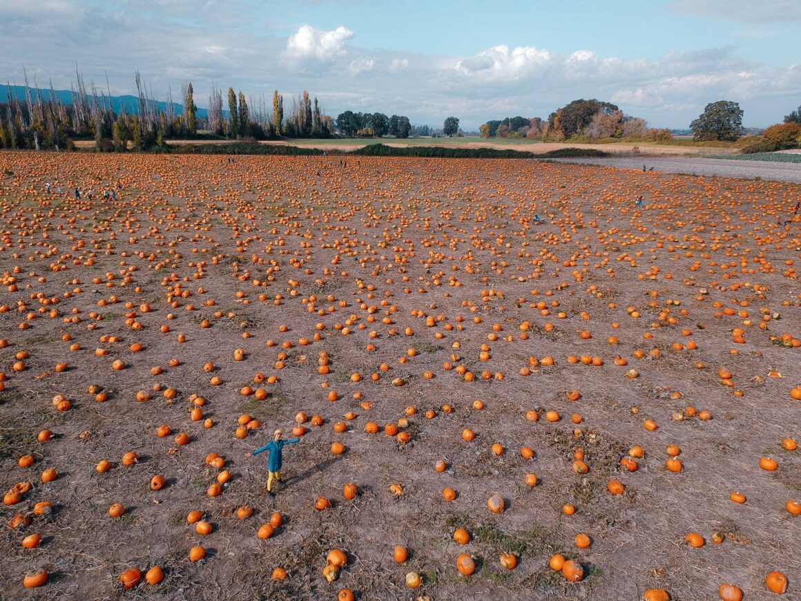 Portland October activities: pumpkin patch, fall foliage & Halloween