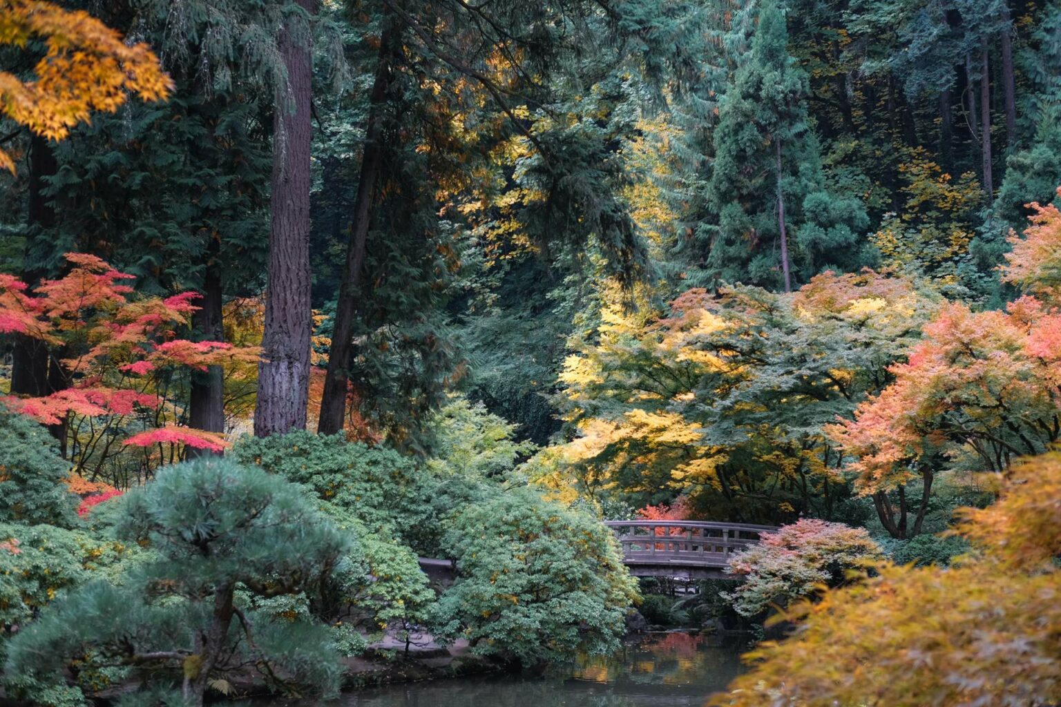 How to spend a Japanese inspired day in Portland, Oregon