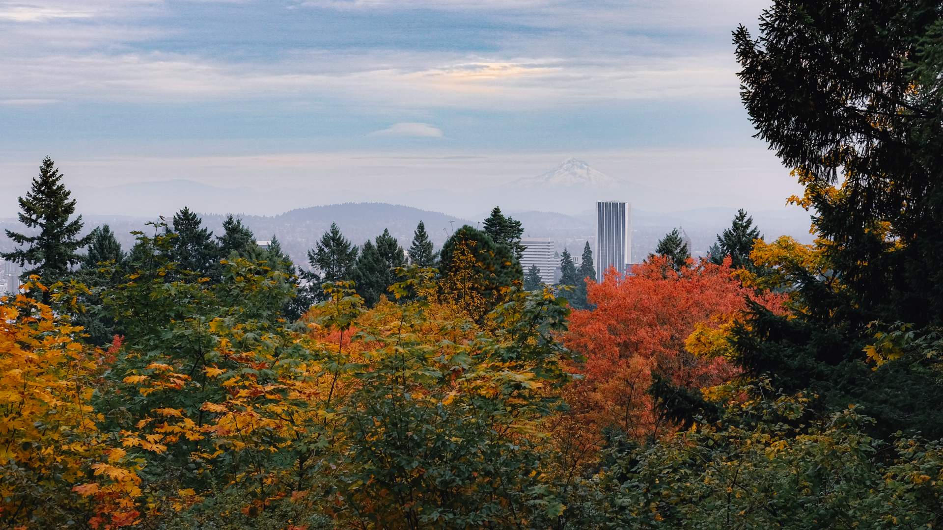 Fall in the Pacific Northwest: Things to do & places to go