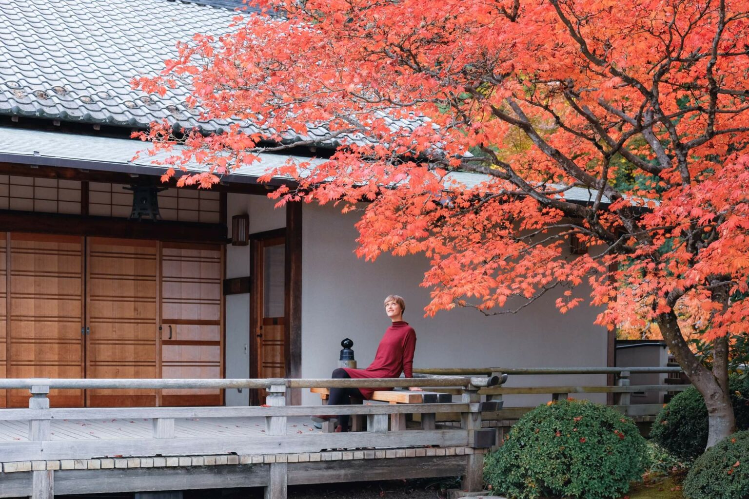 18 spots to enjoy epic fall colors in Portland, Oregon