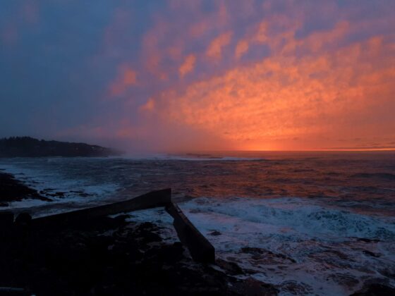 5 reasons to travel the Oregon Coast in winter