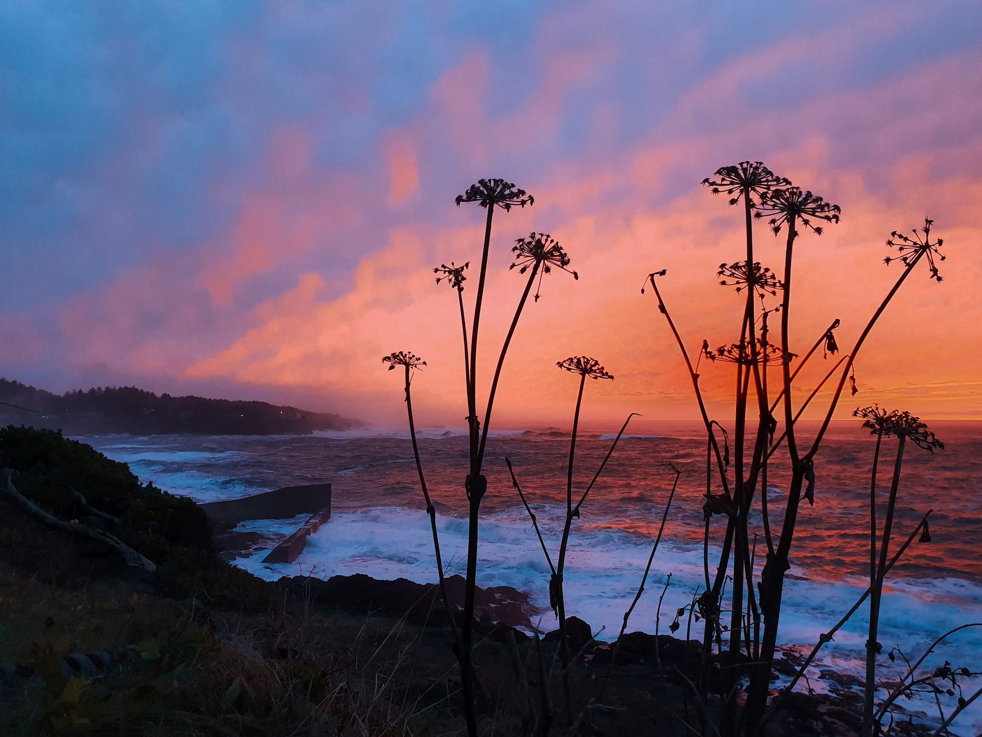 5 reasons to travel the Oregon Coast in winter