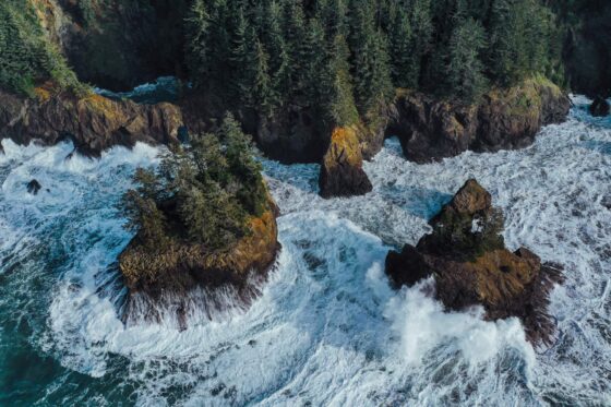 5 reasons to travel the Oregon Coast in winter