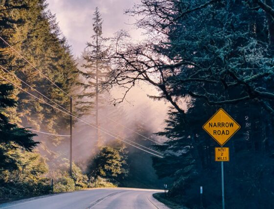 5 reasons to travel the Oregon Coast in winter