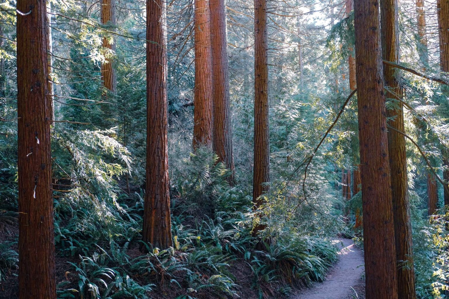 18 spots to enjoy epic fall colors in Portland, Oregon