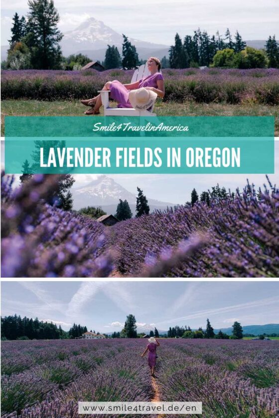 Local's guide to the 20 best lavender fields in Oregon 2022