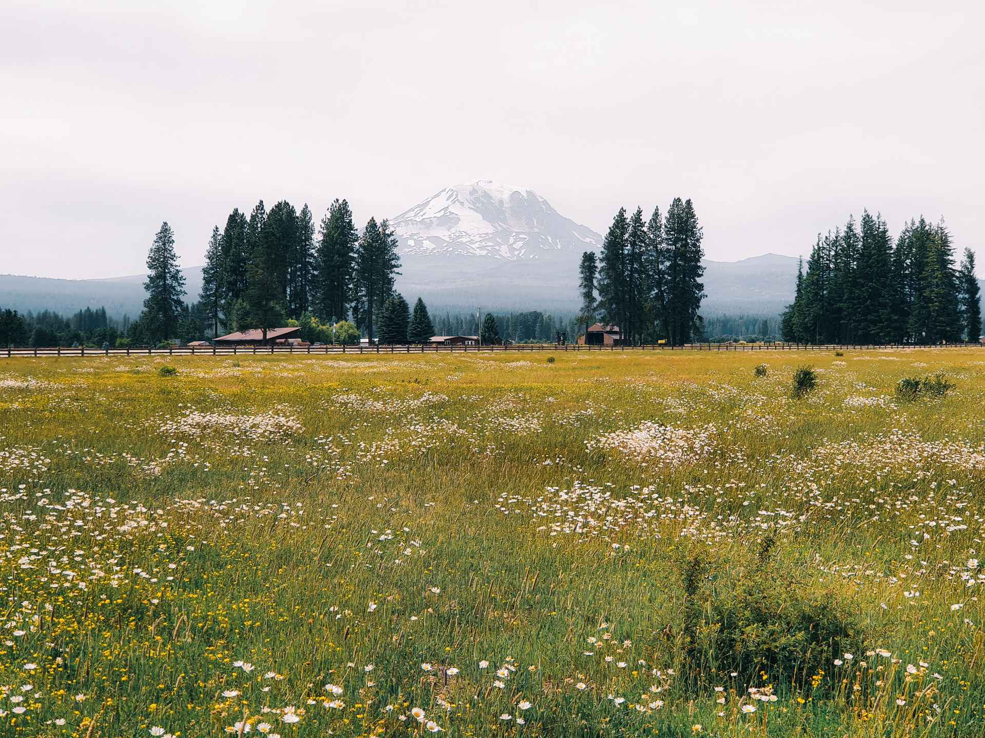 20 epic wildflower hikes in Oregon + Washington