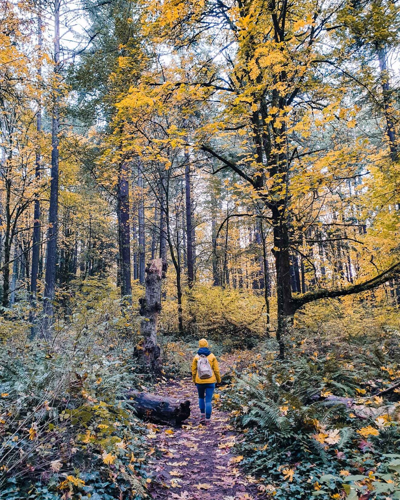 18 spots to enjoy epic fall colors in Portland, Oregon