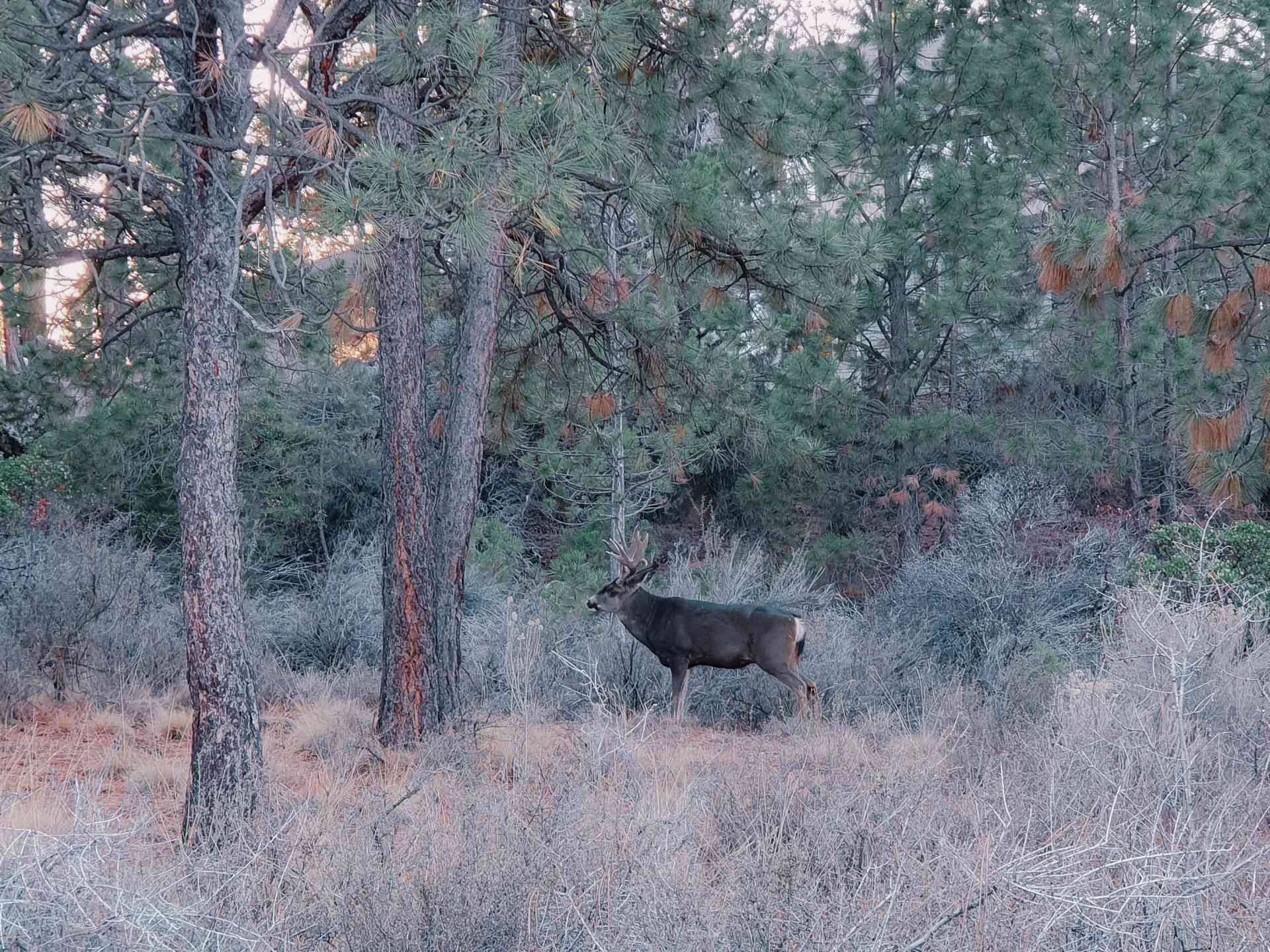 Top things to do in Bend, Oregon - Gateway to the outdoors