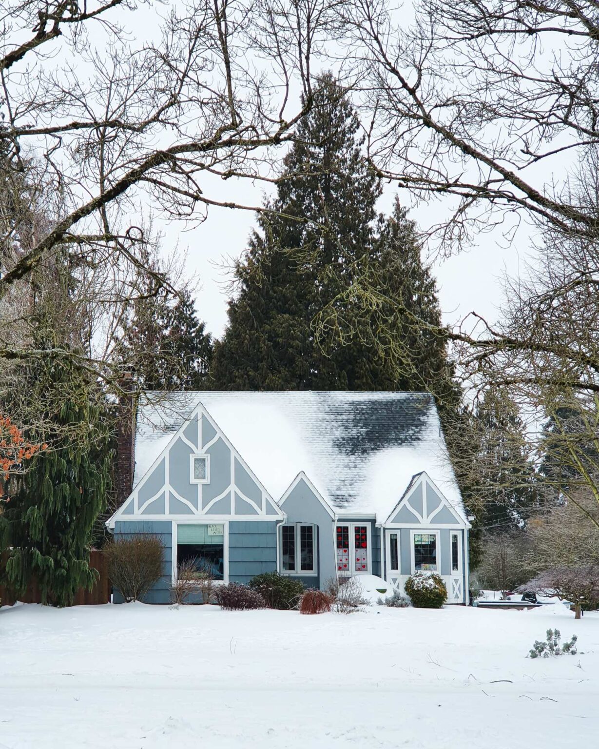 Snow in Portland: Urban skiing & sledging for groceries