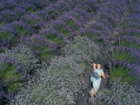 Local's guide to the 20 best lavender fields in Oregon 2022