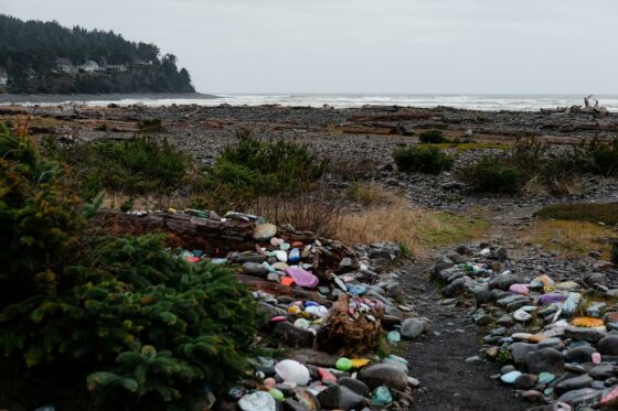 Oregon Coast Towns | Things to do + Where to stay