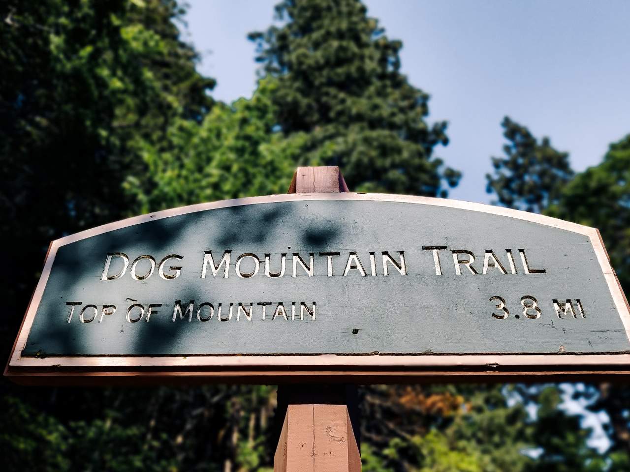Hiking Dog Mountain Trail: Everything you need to know