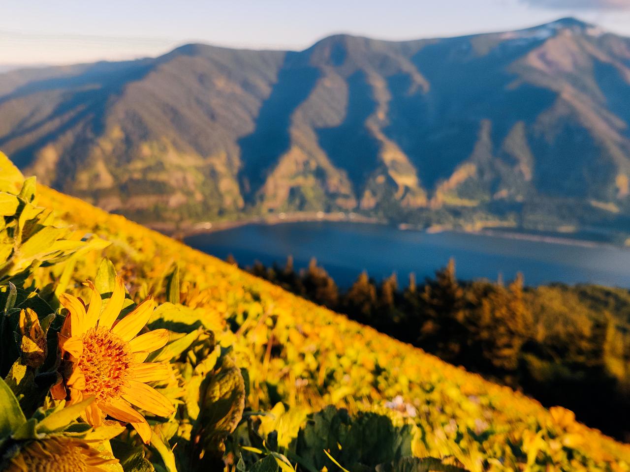 20 epic wildflower hikes in Oregon + Washington