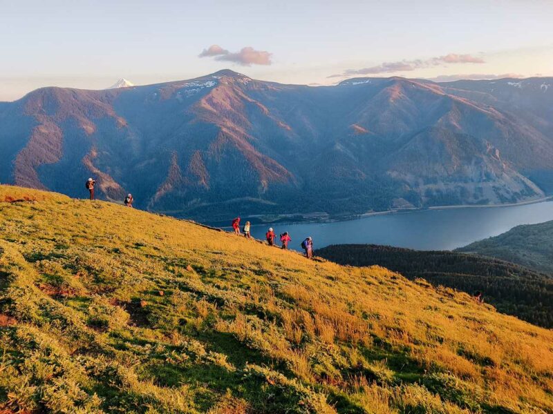 20 epic wildflower hikes in Oregon + Washington