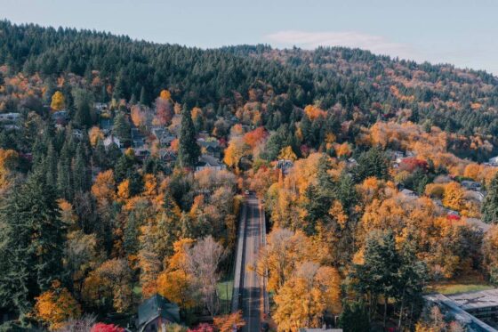 18 spots to enjoy epic fall colors in Portland, Oregon