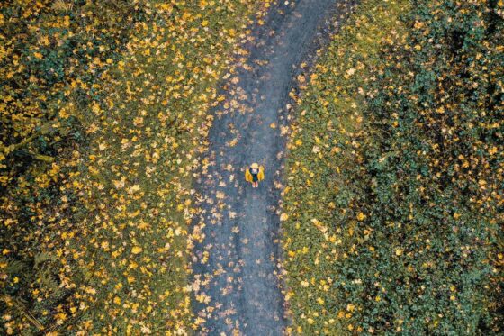 18 spots to enjoy epic fall colors in Portland, Oregon