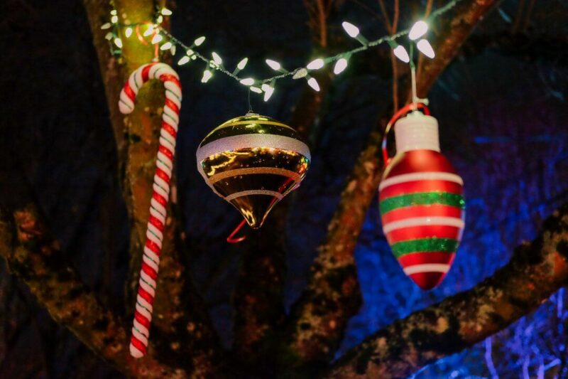 15+ Festive Things to do in Portland in December