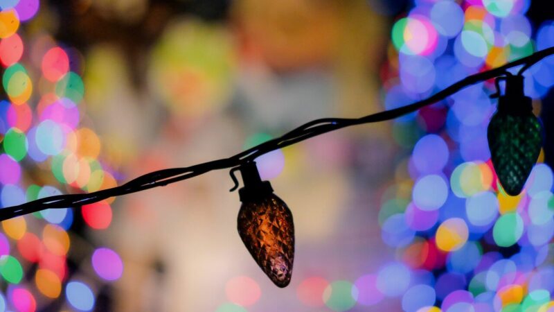 15+ Festive Things to do in Portland in December