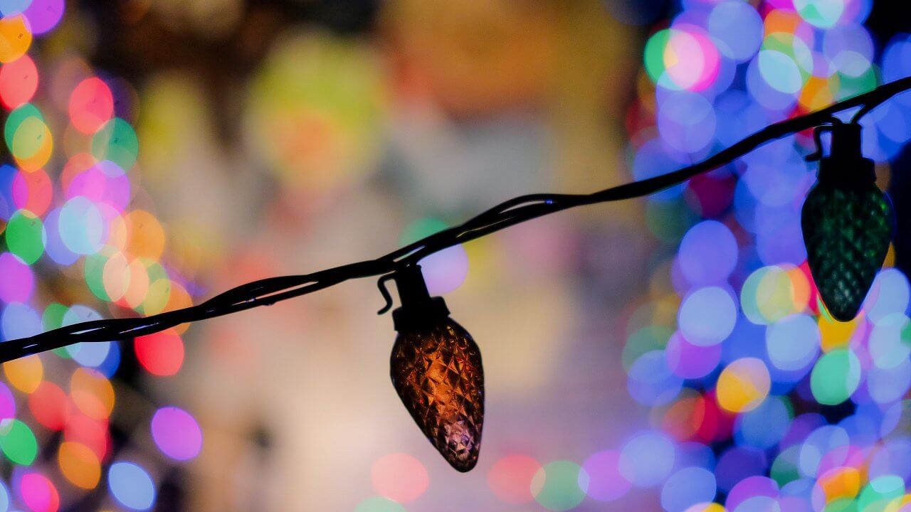 15+ Festive Things to do in Portland in December