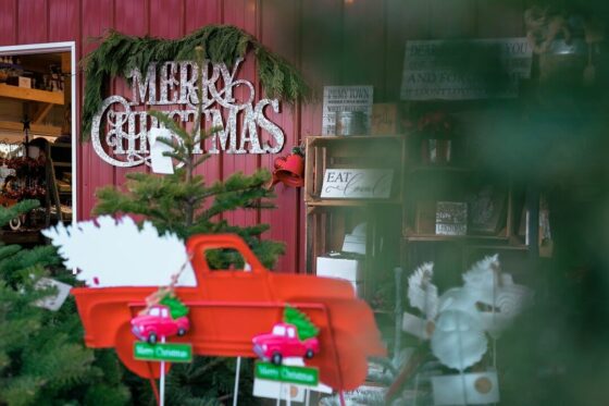 15+ Festive Things to do in Portland in December