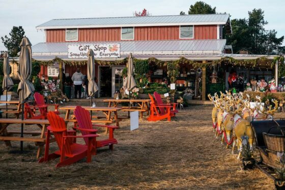 15+ Festive Things to do in Portland in December