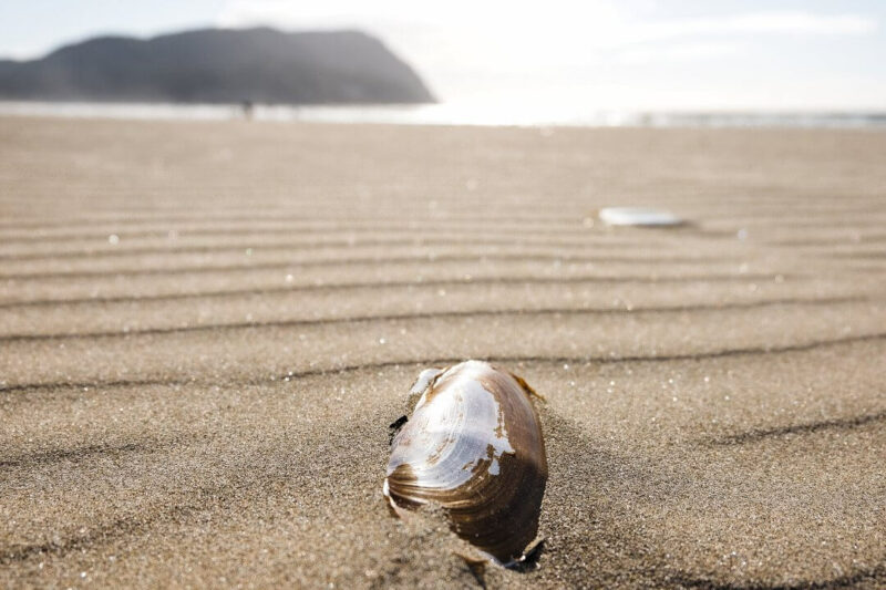 Seaside, OR: Weekend Guide to Oregon's largest coast town