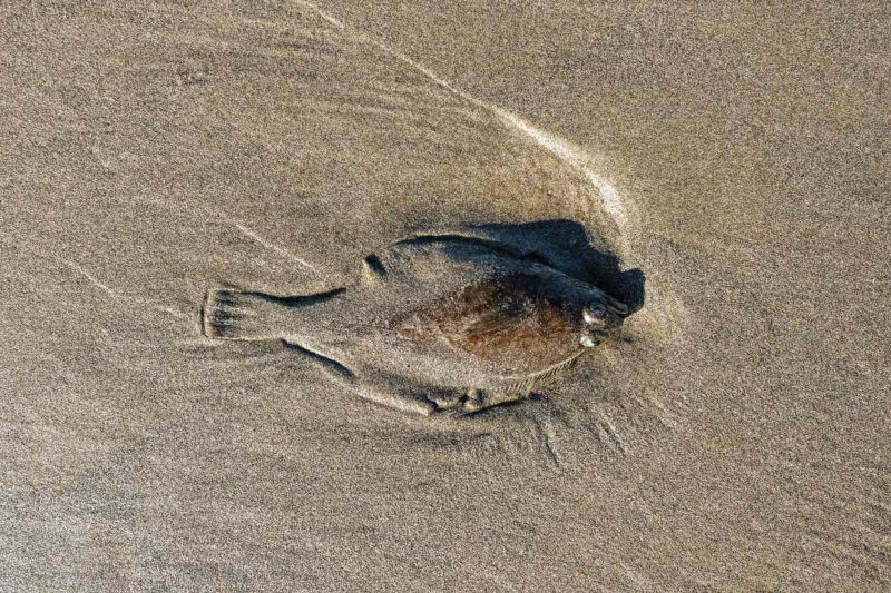 Seaside, OR: Weekend Guide to Oregon's largest coast town