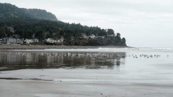 Seaside, OR: Weekend Guide to Oregon's largest coast town