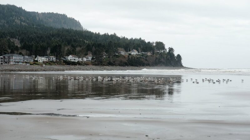 Seaside, OR: Weekend Guide to Oregon's largest coast town