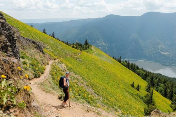 Hiking Dog Mountain Trail: Everything you need to know