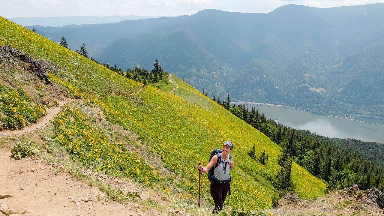 Hiking Dog Mountain Trail: Everything you need to know