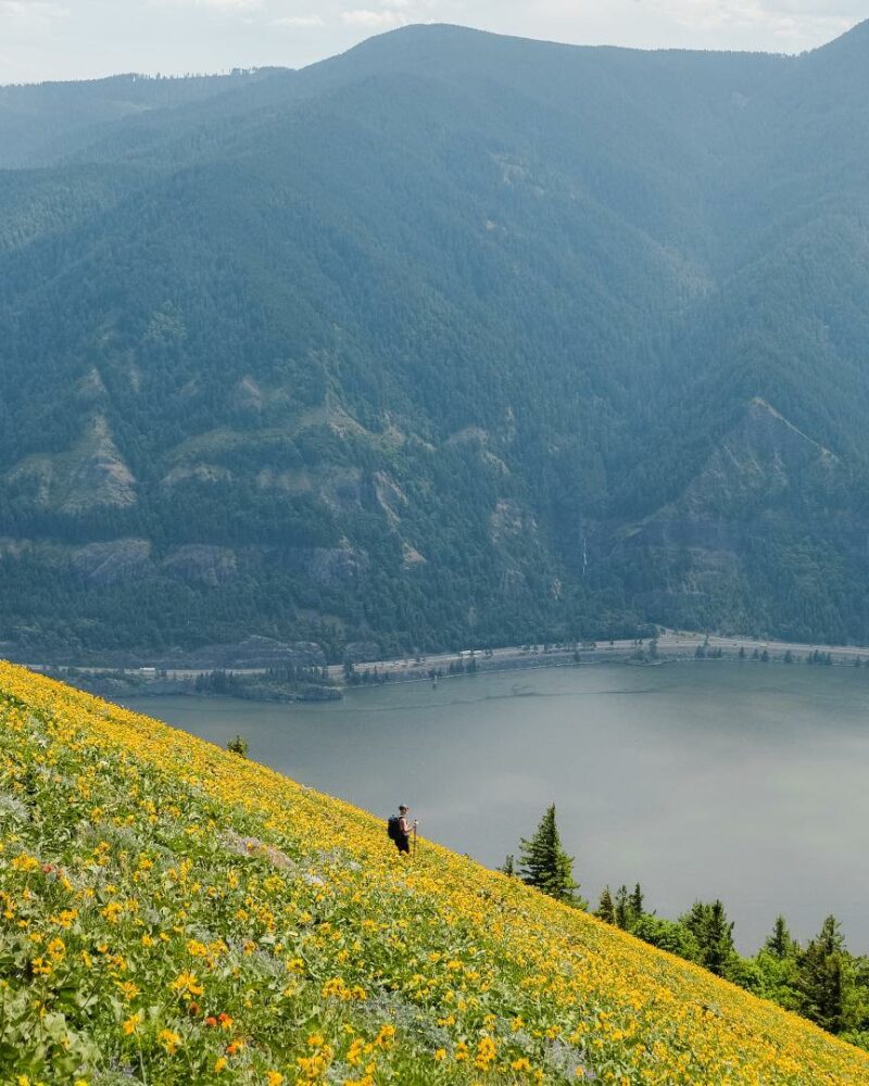 Hiking Dog Mountain Trail: Everything you need to know