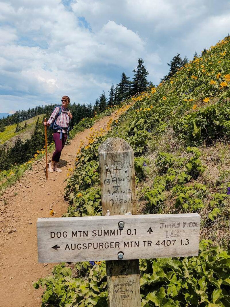 Hiking Dog Mountain Trail: Everything you need to know